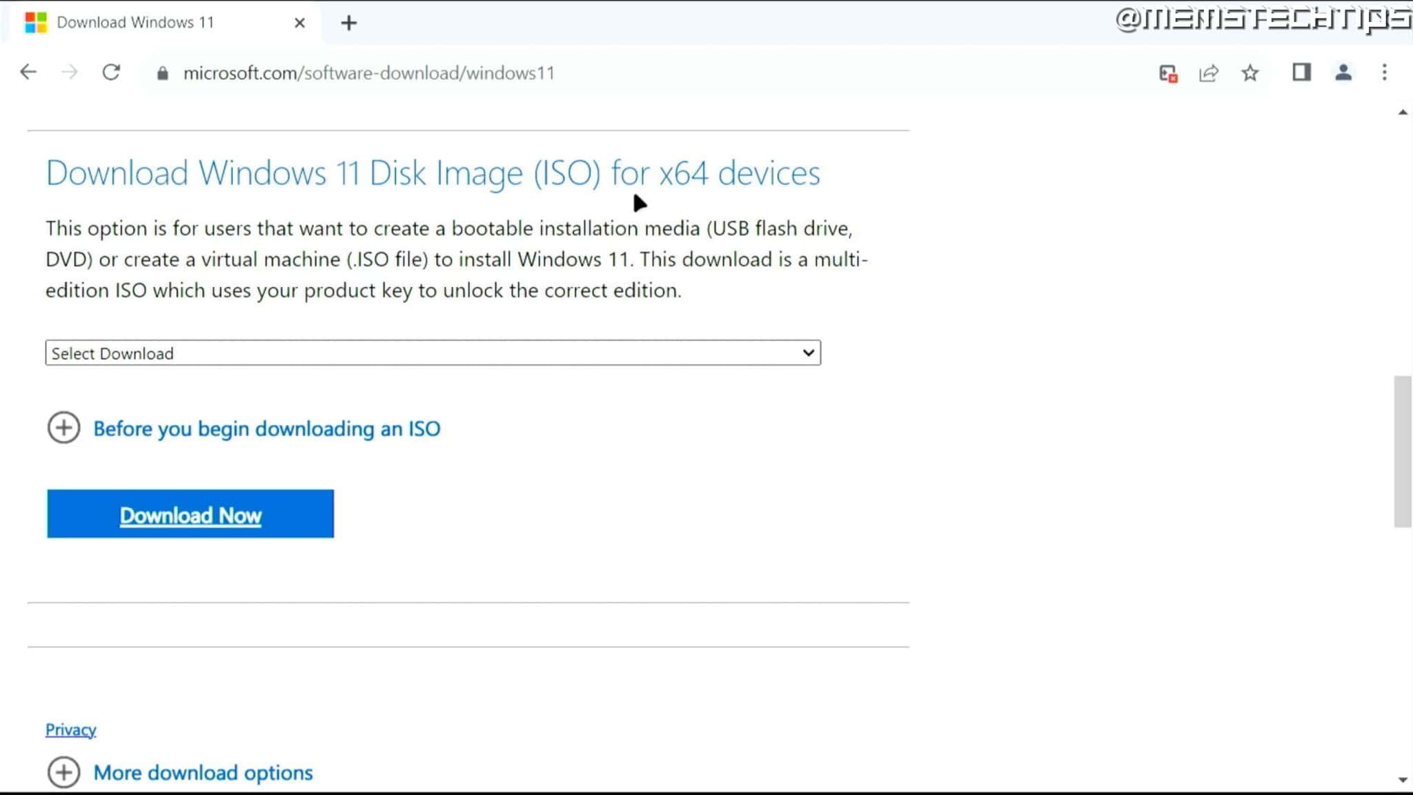 How To Download The Windows 11 ISO File (2 Methods)